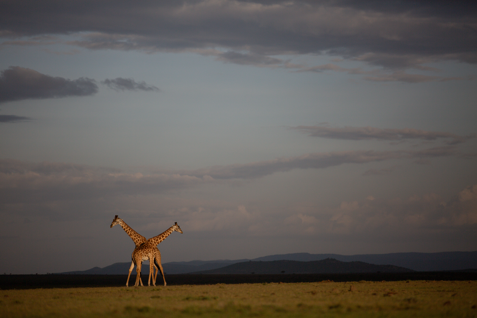 Protect An Acre Conservancy Guardians